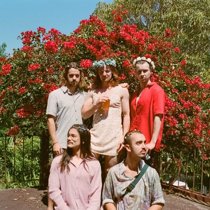 New Song of the Week – THUNDER FOX: “Smokin’ on Loosies” – ECLECTIC ...