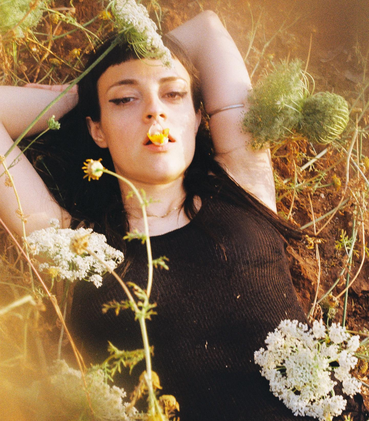 SIVAN LEVY Releases a Captivating Live Session of Her Song “Jacaranda ...