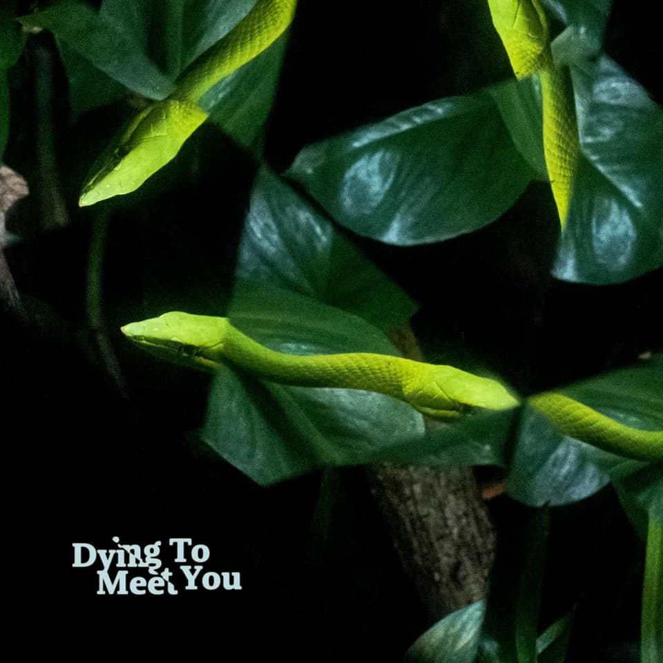 GOOSEBERRY – Single Review: “Dying To Meet You” – ECLECTIC MUSIC LOVER