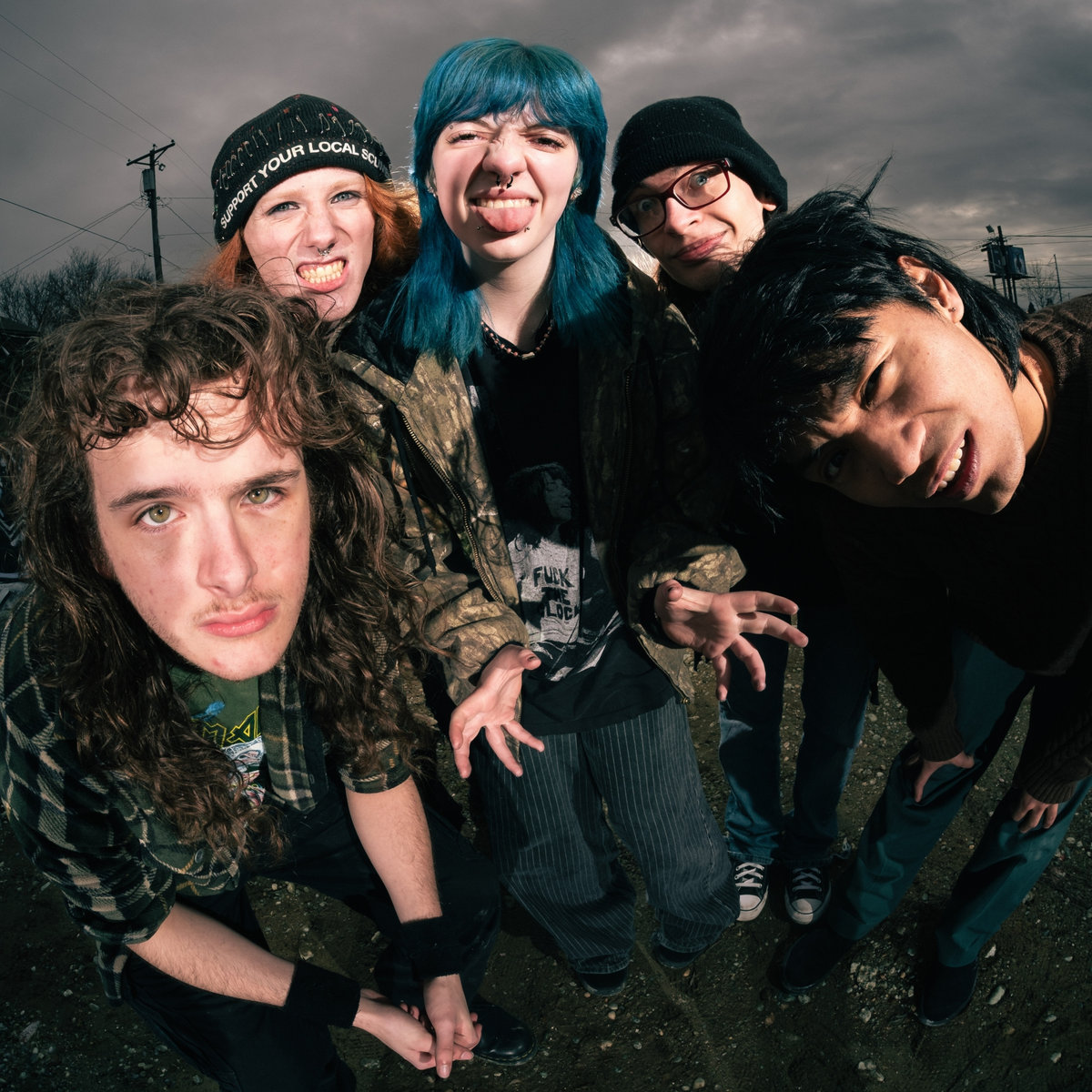 The Rat Utopia Experiment – Single Review: “Creature Comfort ...